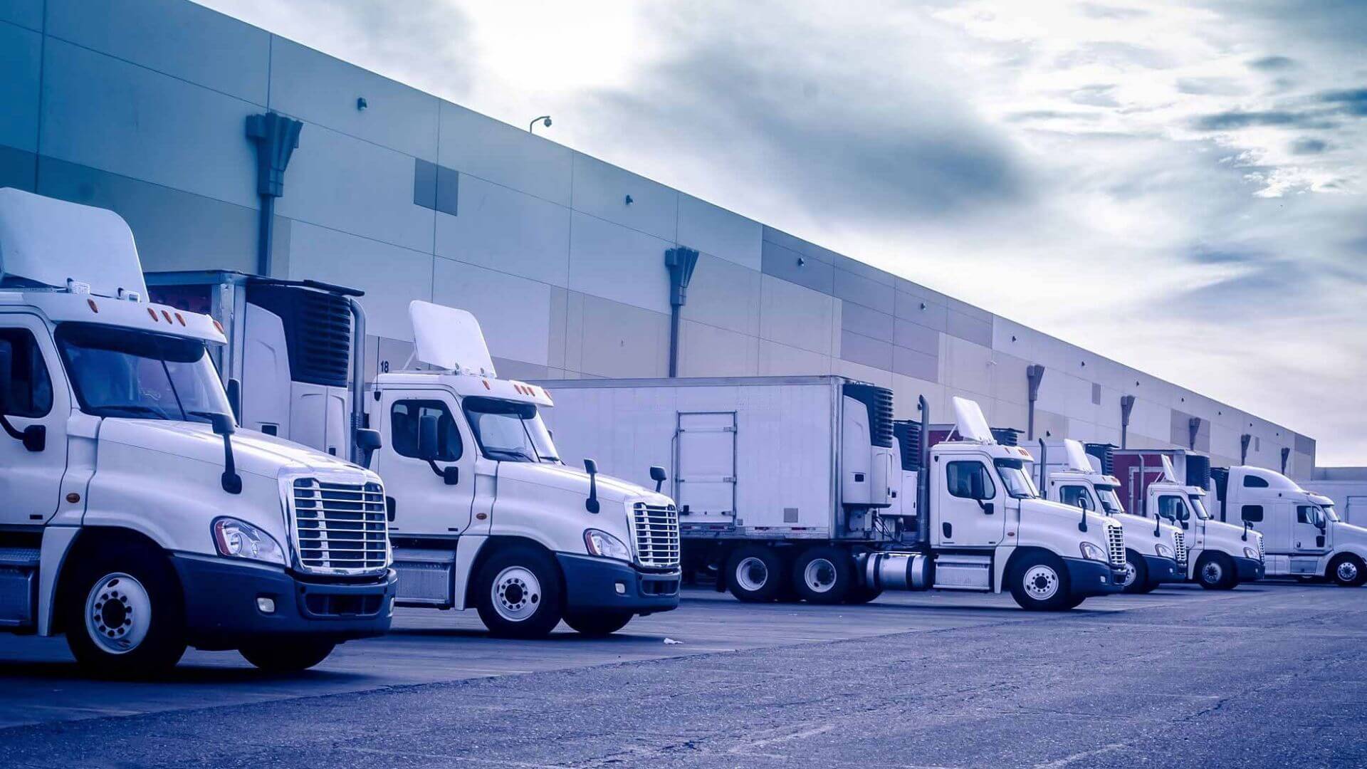 Cargo Nest Logistics